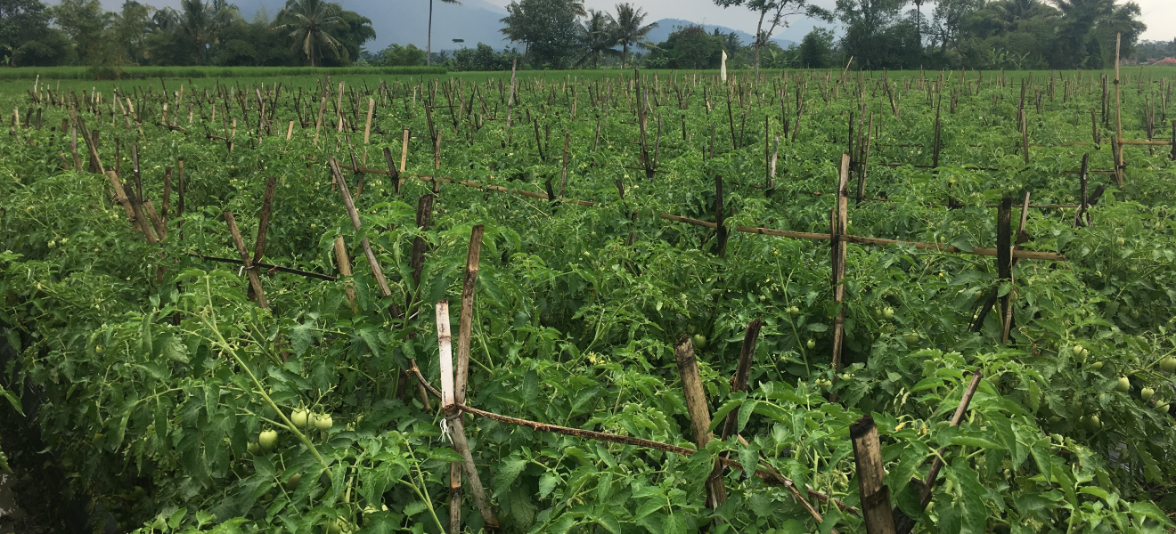 Home(13-11-2020) – Technisem Thailand